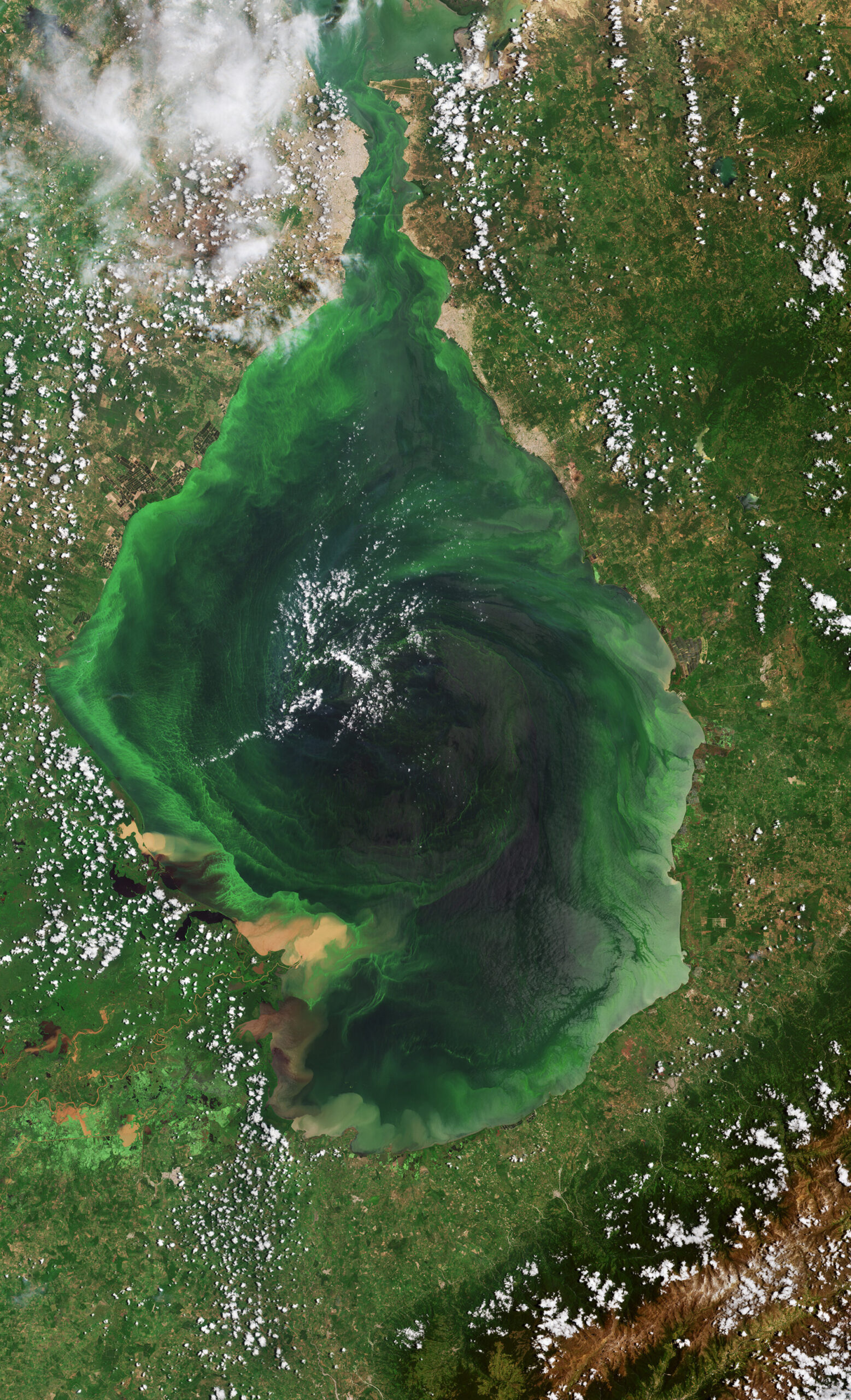 La foto tomada desde el espacio que muestra la contaminación que se ...