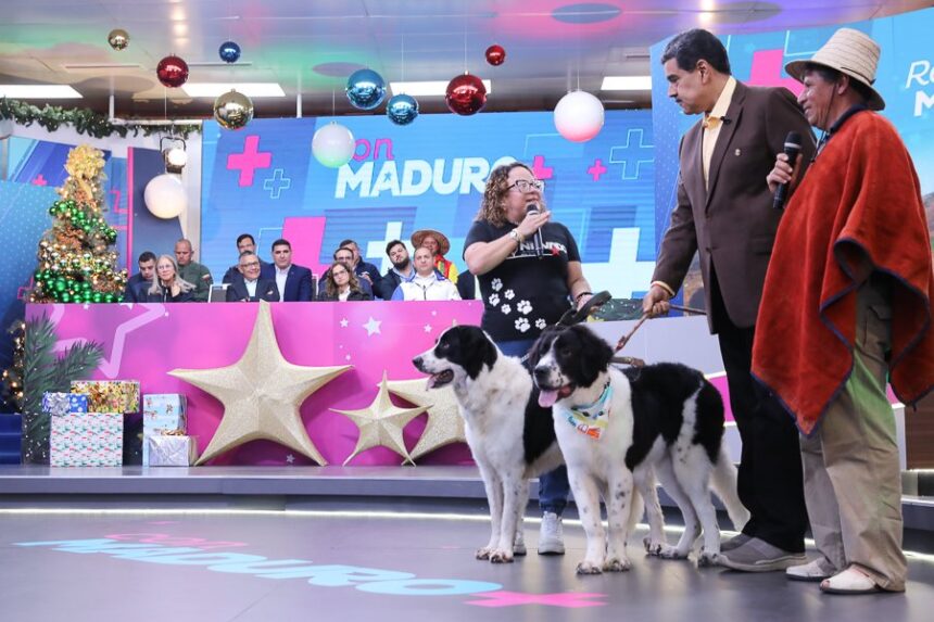 Certifican a perritos Mucuchíes como única raza pura de Venezuela
