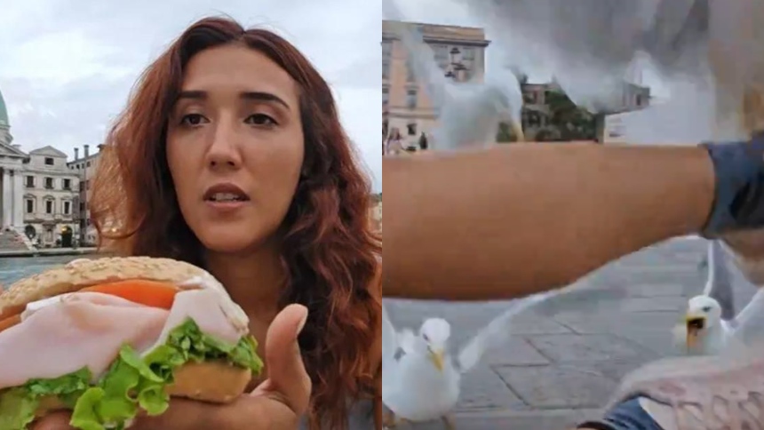 Viral: Influencer pasó susto con unas gaviotas cuando intentó comerse ...