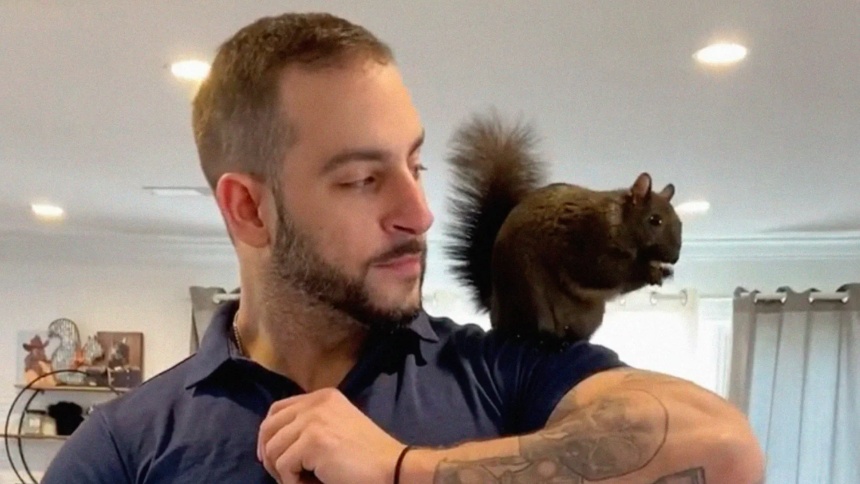 «Es surrealista»: Habló el hombre que acogió a Peanut, la ardilla viral que sacrificaron