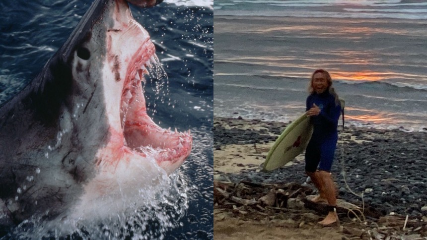 Tragedia en Hawái: Surfista perdió la pierna en brutal ataque de ...